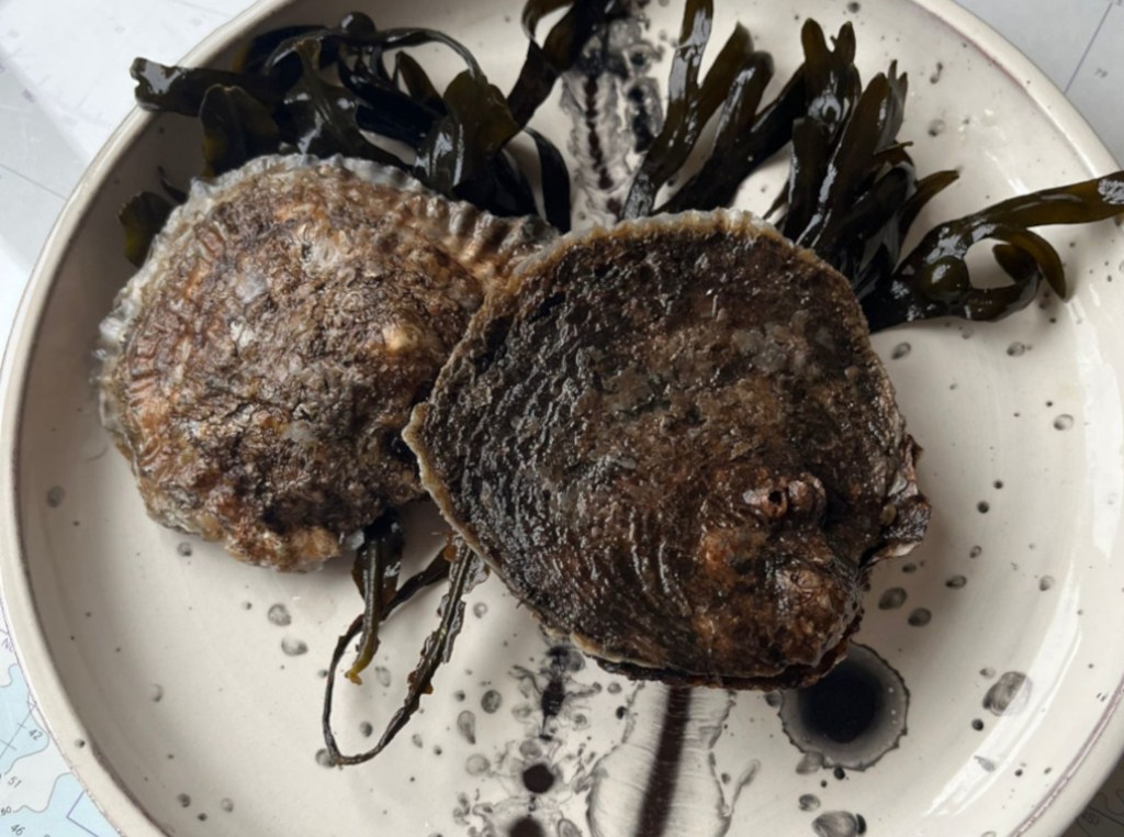 Shop - Foyle Bia Mara - Irish Shellfish - Oysters & Mussels